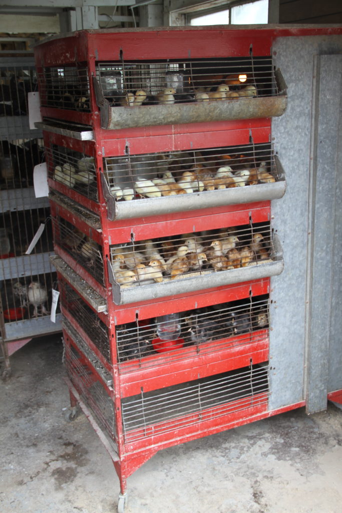 Photos – Fenton Feed Mill